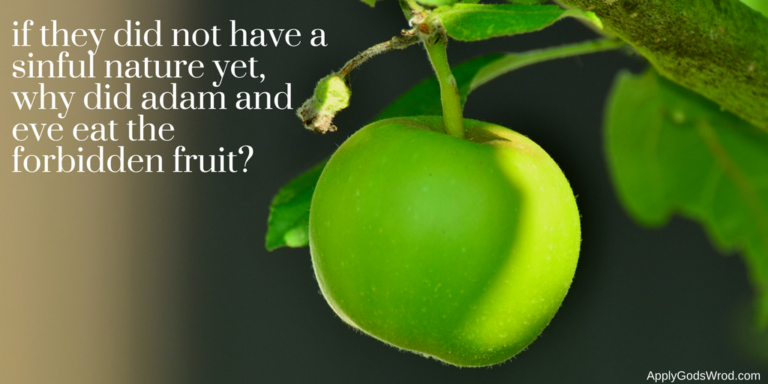 Why Did Adam and Eve Sin If They Did Not Have a Sinful Nature? | AGW ...