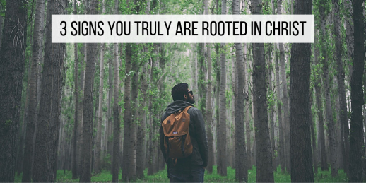 3 Signs You Truly Are Rooted in Christ | AGW MINISTRIES